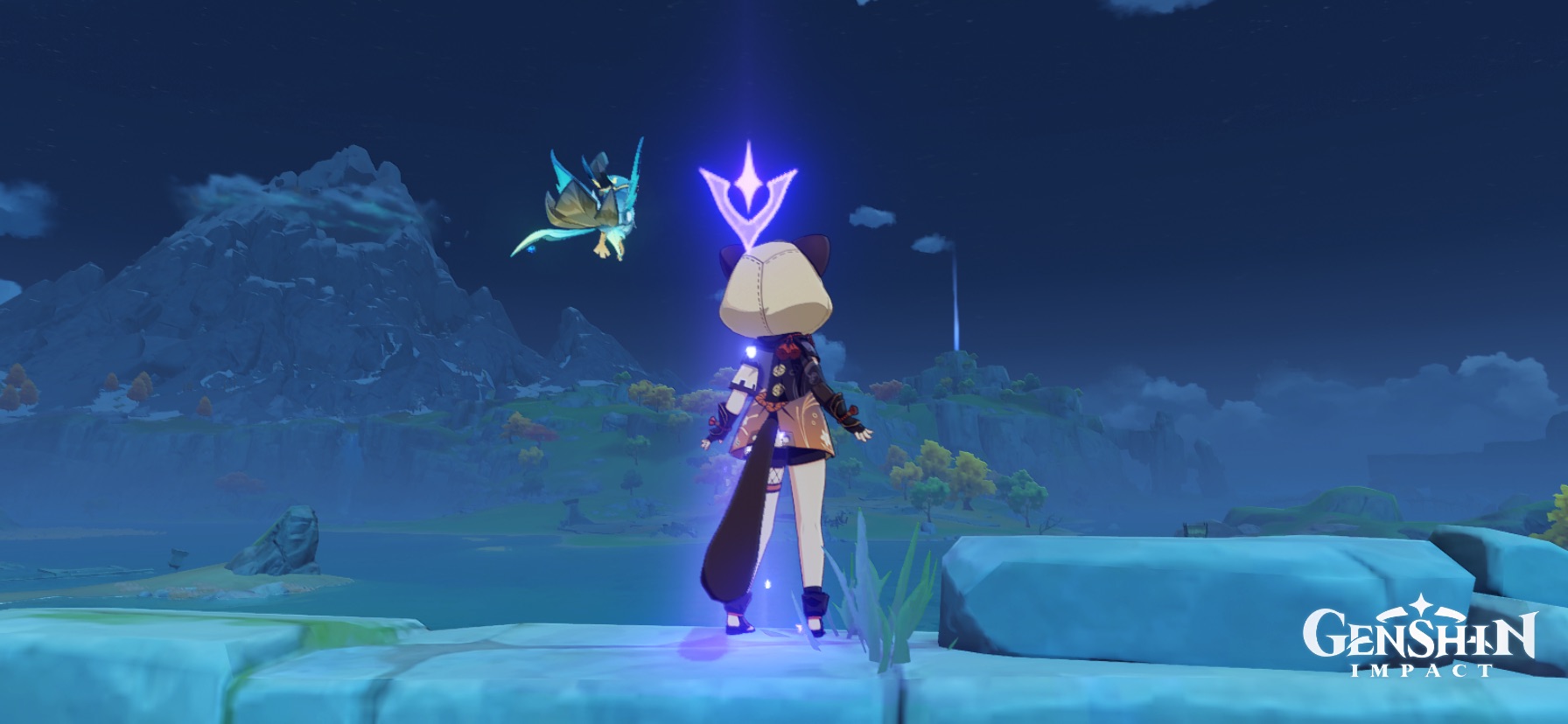 Random things in Co-op | Genshin Impact | HoYoLAB