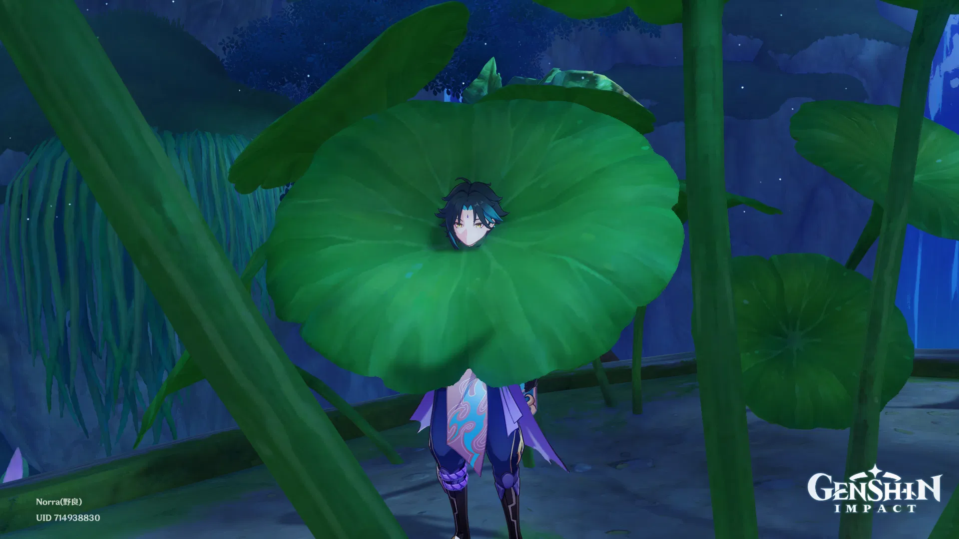 Leaf Genshin Impact | HoYoLAB