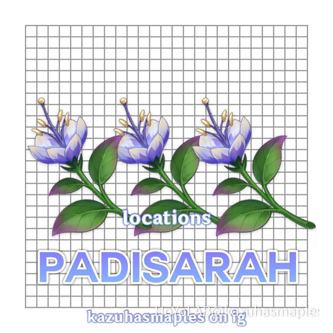 Padisarah - locations Genshin Impact | HoYoLAB