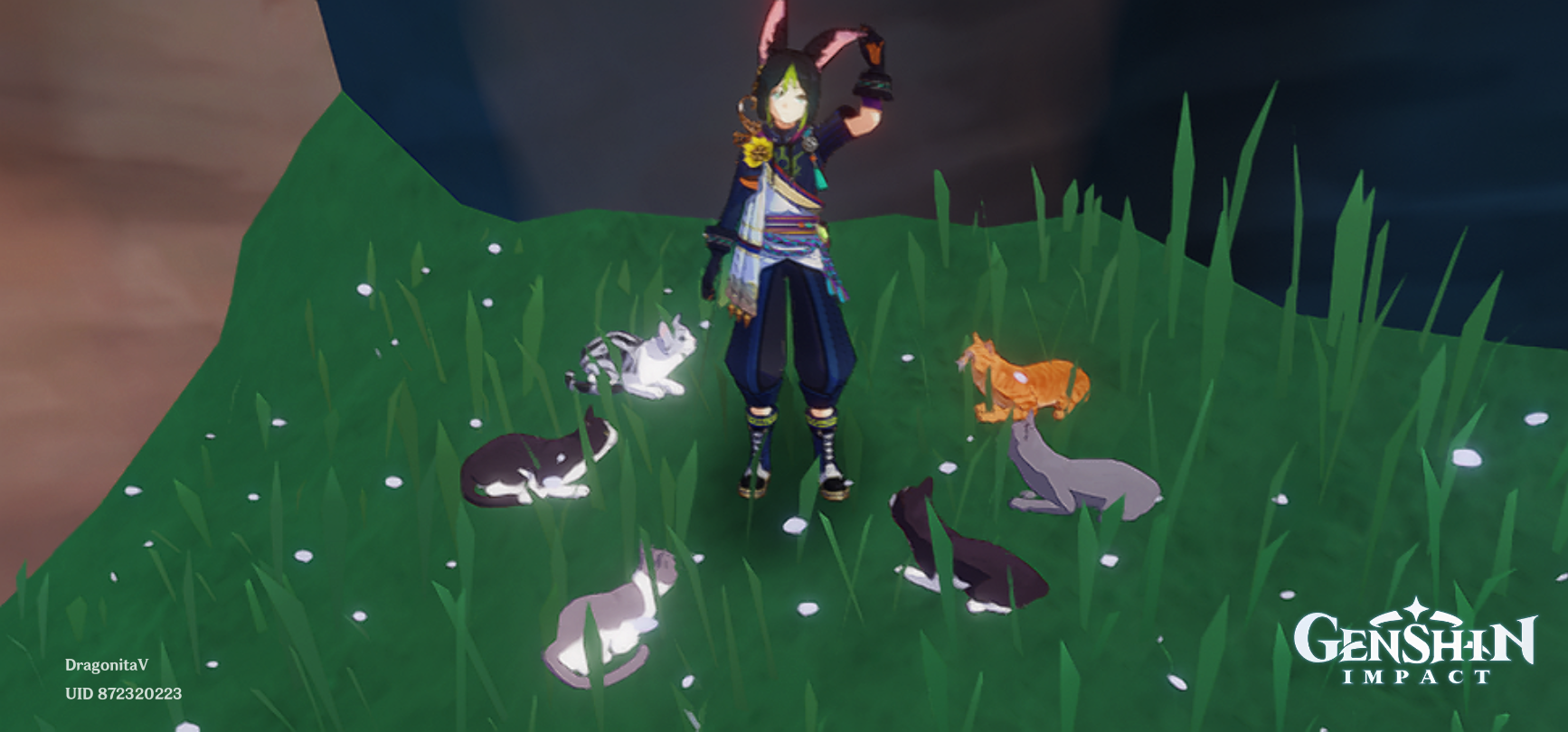 Together with Meow Genshin Impact | HoYoLAB