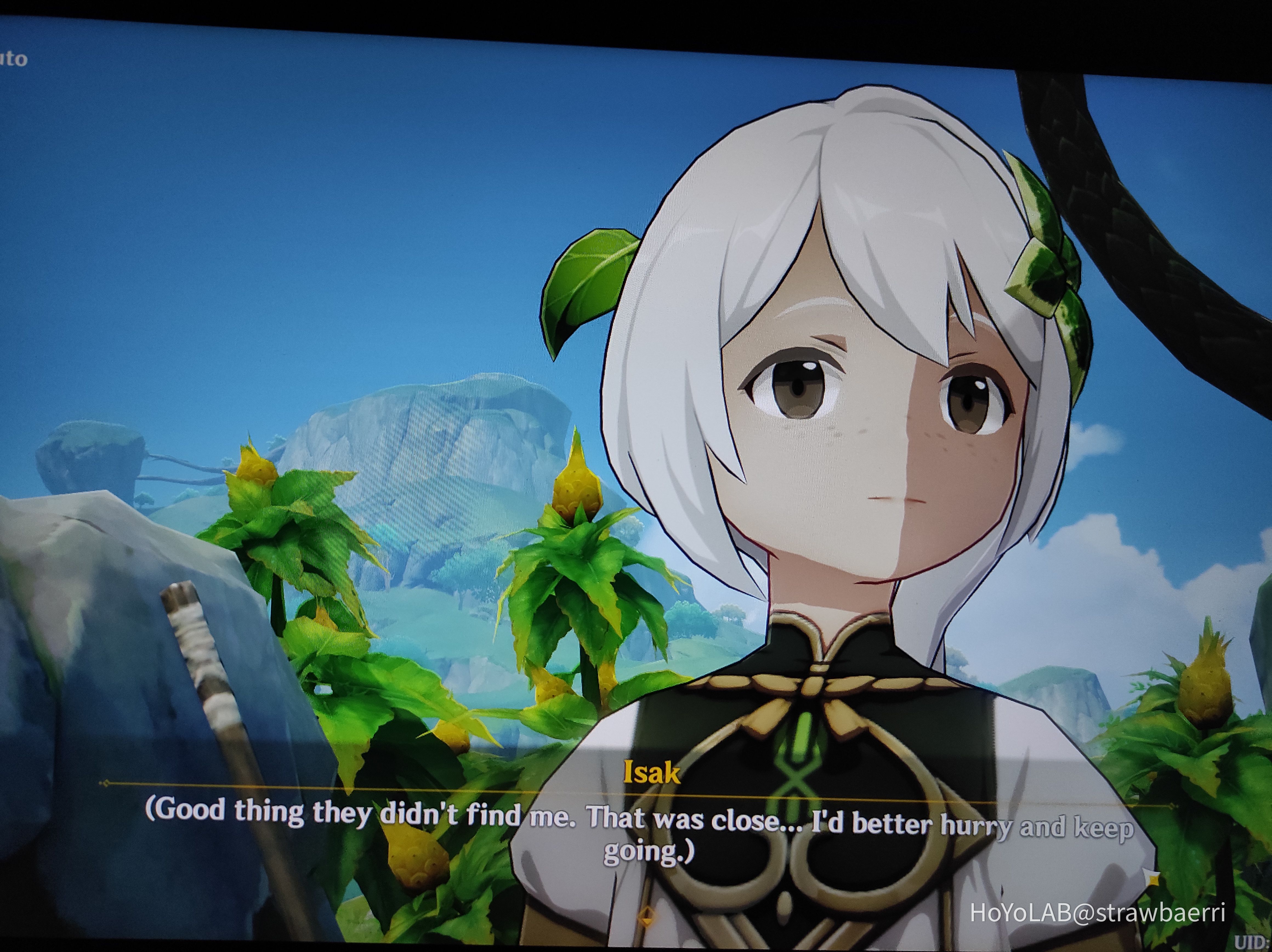 The real Dendro Archon Genshin Impact | HoYoLAB