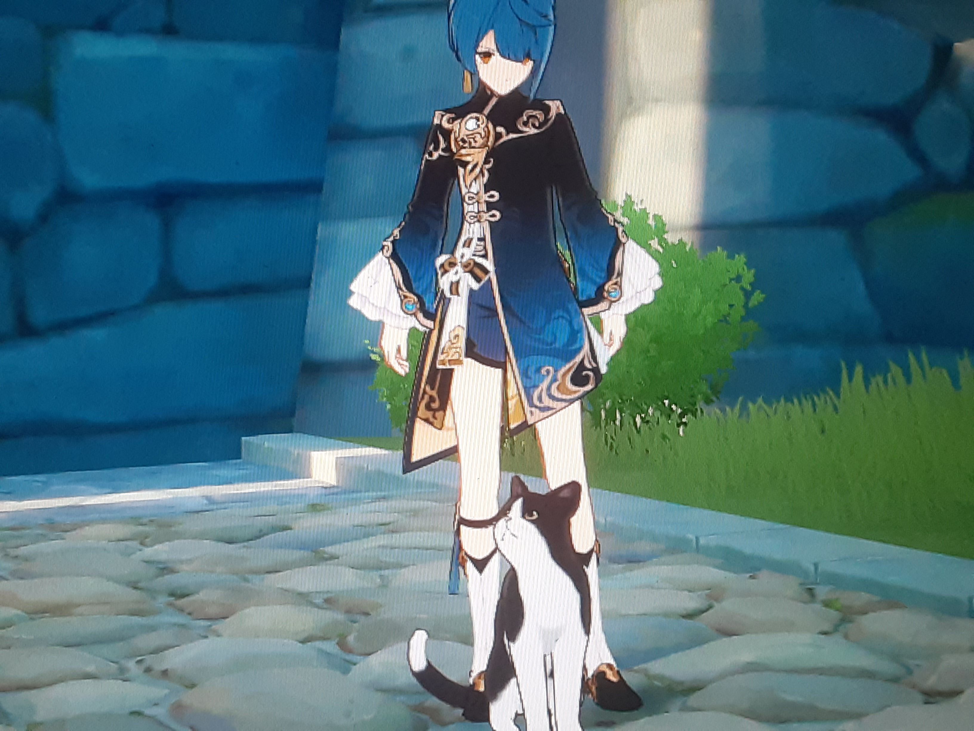 my water Boi and a cat Genshin Impact | HoYoLAB