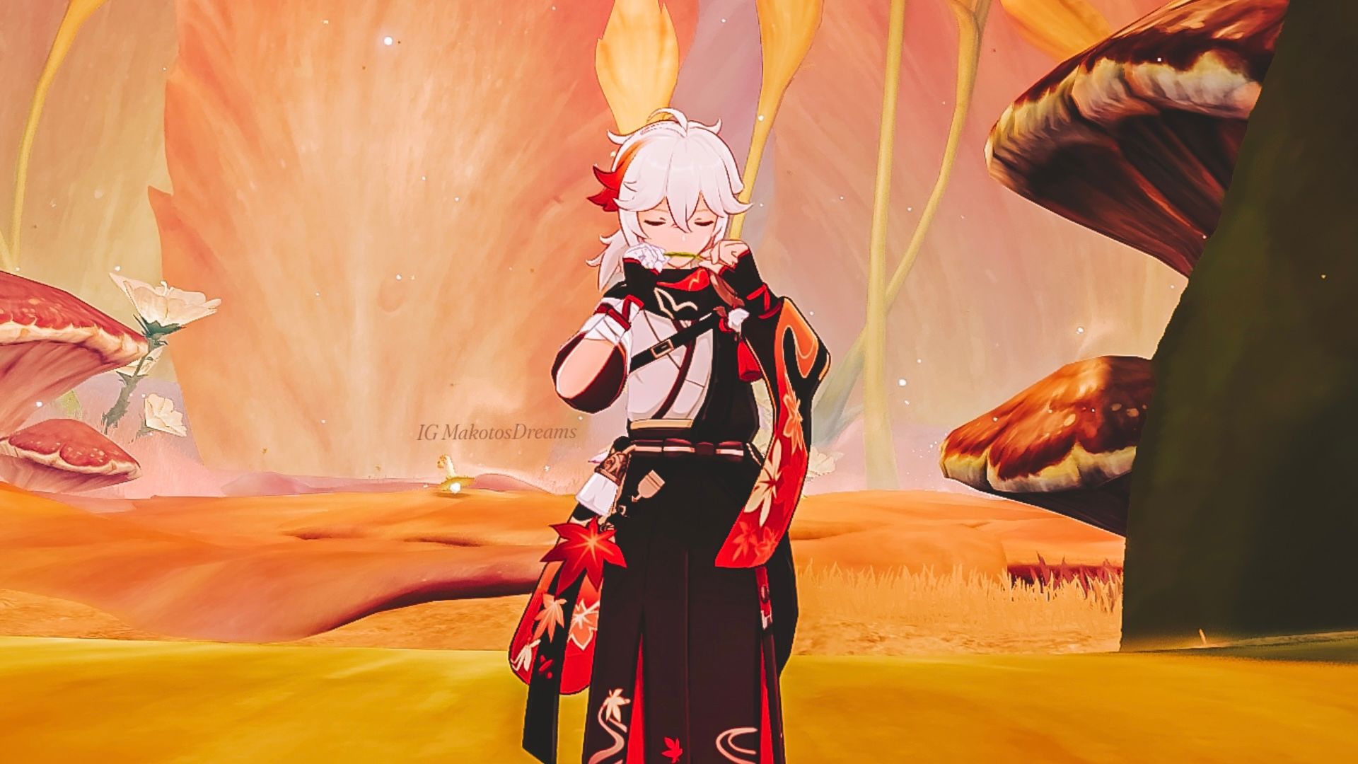 Aranyaka Adventures Genshin Impact | HoYoLAB