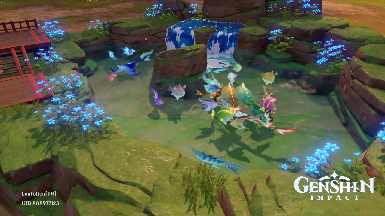 Fishes in one pool Genshin Impact | HoYoLAB