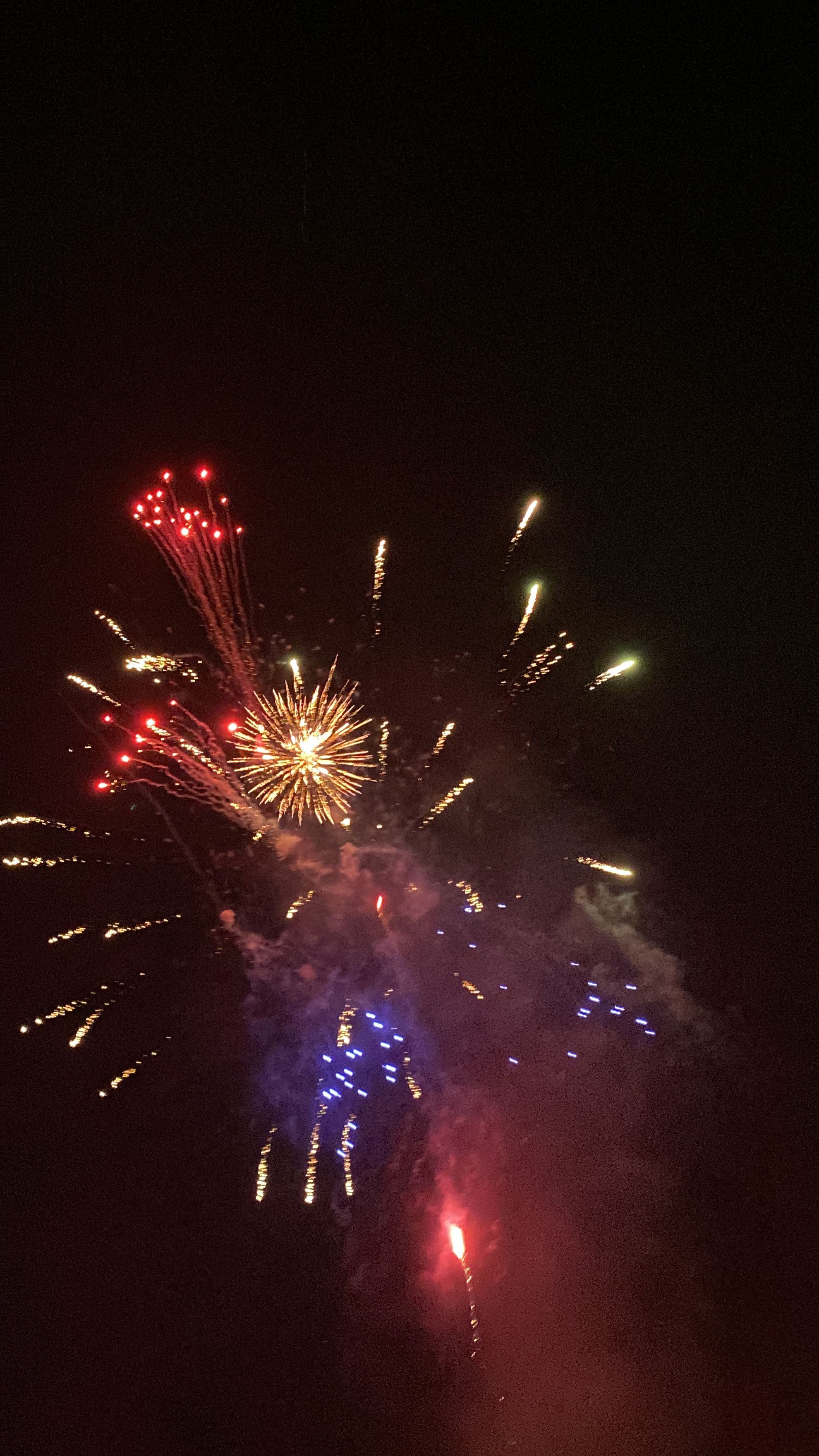 THE ULTIMATE YOIMIYA RITUAL | Genshin Impact | HoYoLAB