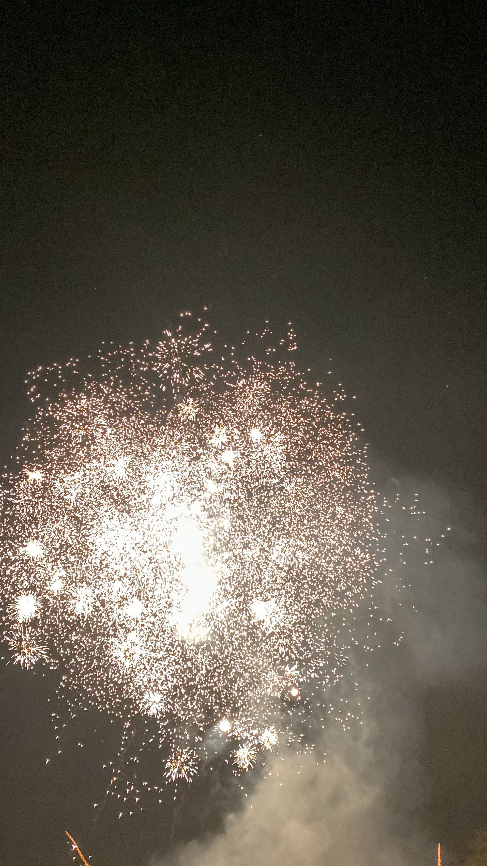 THE ULTIMATE YOIMIYA RITUAL | Genshin Impact | HoYoLAB