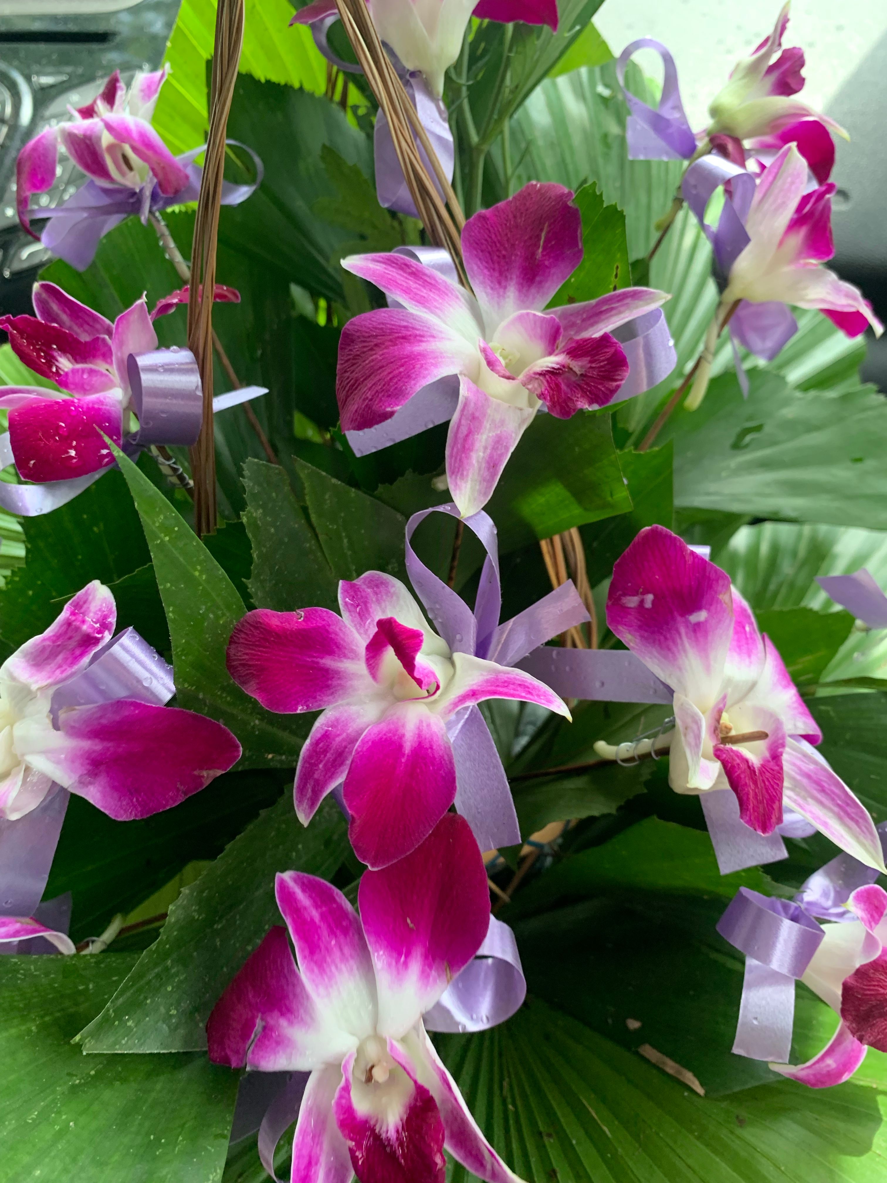 Nice flowers Genshin Impact | HoYoLAB