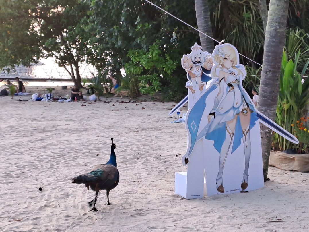 Giant Paimon at the beach! | Genshin Impact | HoYoLAB