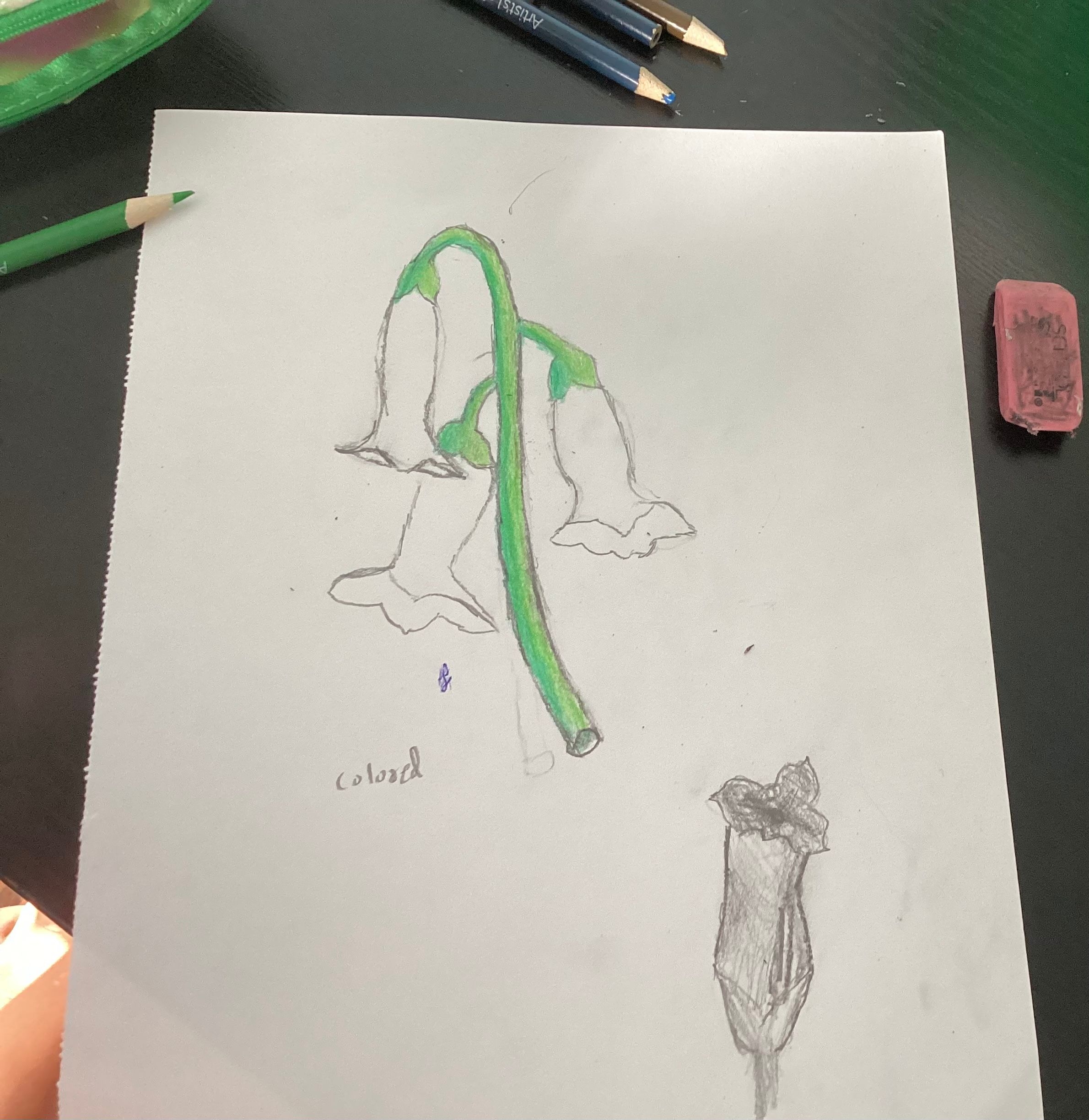 What I have on the Violetgrass one so far Genshin Impact | HoYoLAB