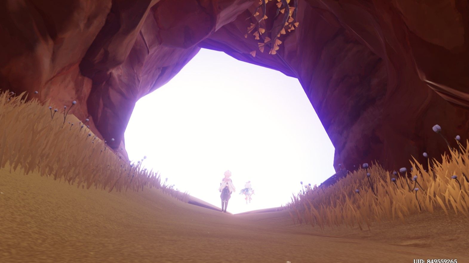 Into the light Genshin Impact | HoYoLAB