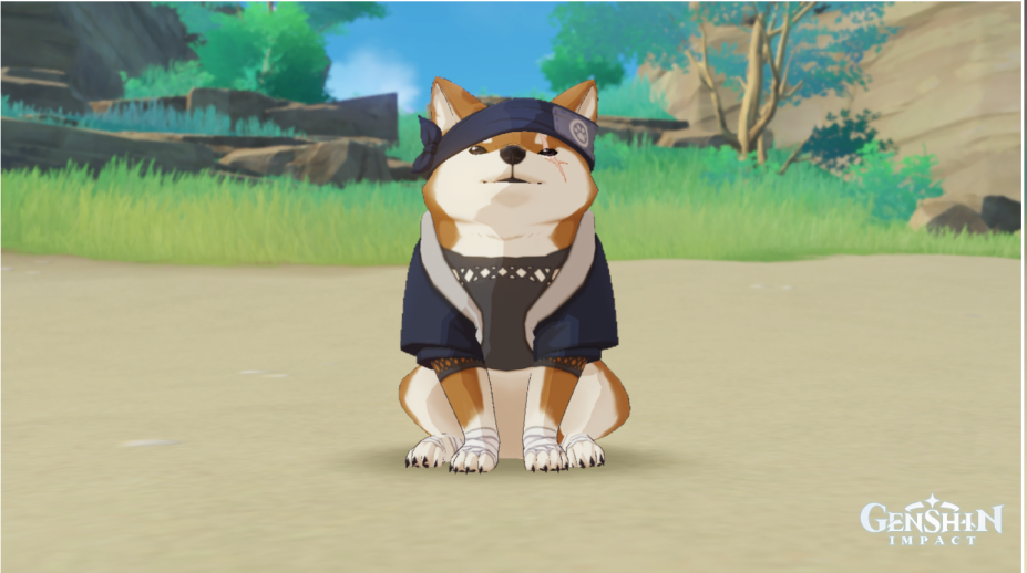 This dog Genshin Impact | HoYoLAB