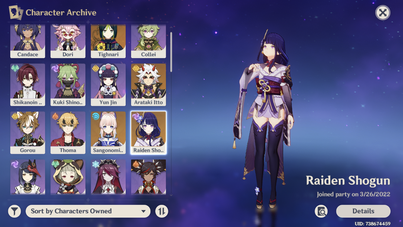 Raiden Team Comp Genshin Impact | HoYoLAB