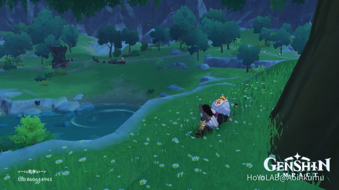 Unusual Hillichurl (My very first post) Genshin Impact | HoYoLAB