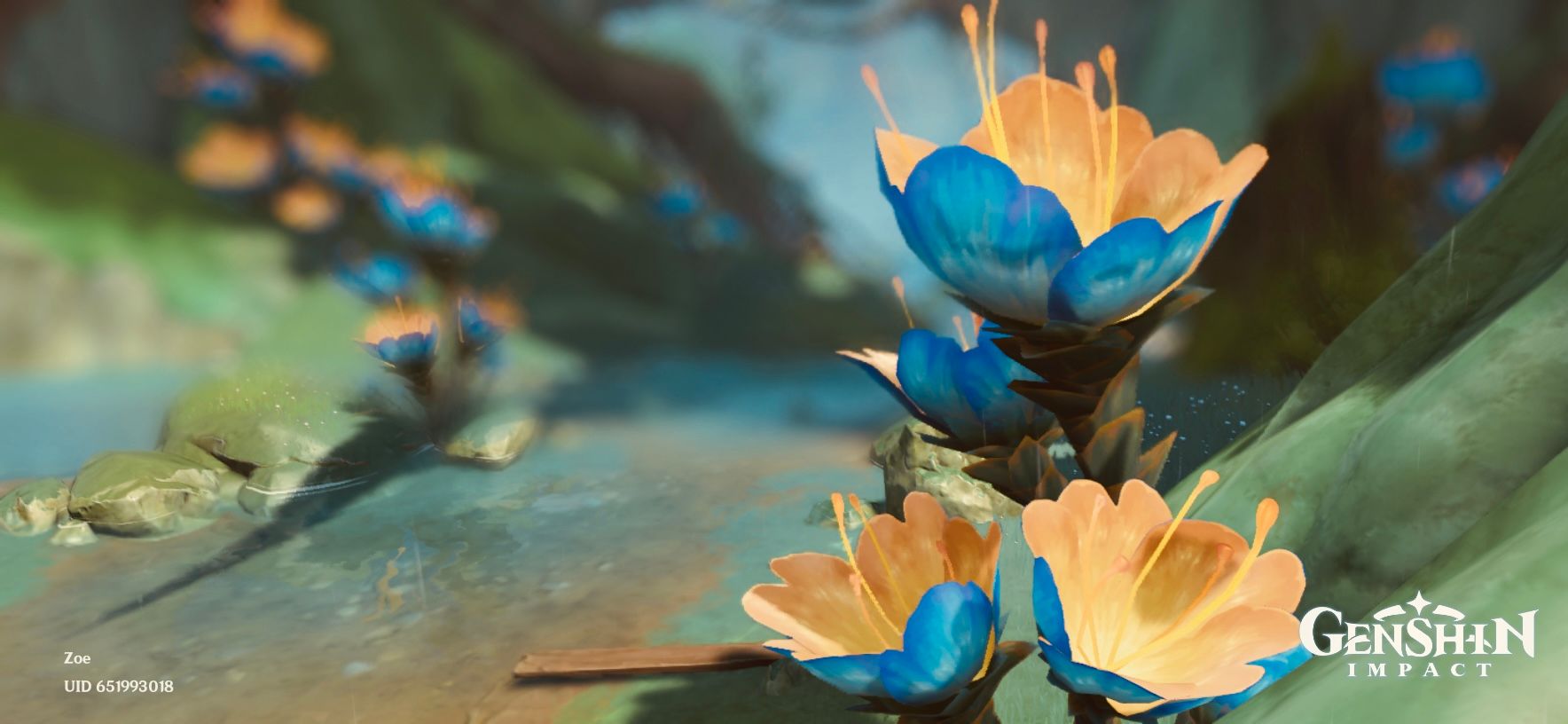 Sumeru’s Flora Part 2 Genshin Impact | HoYoLAB