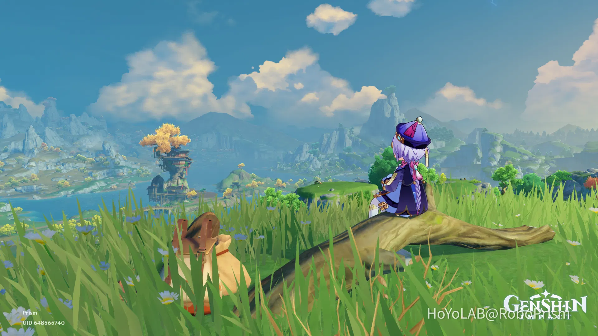 Qiongji Estuary to Bishui Plain Genshin Impact | HoYoLAB