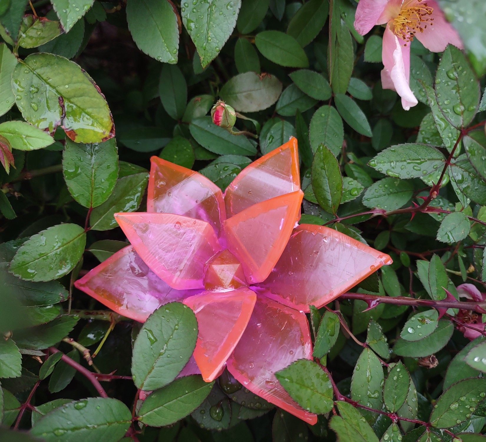 Crystal Flower Blooming Honkai Impact 3rd | HoYoLAB