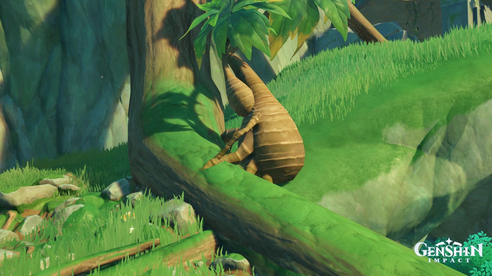 Tree Genshin Impact | HoYoLAB