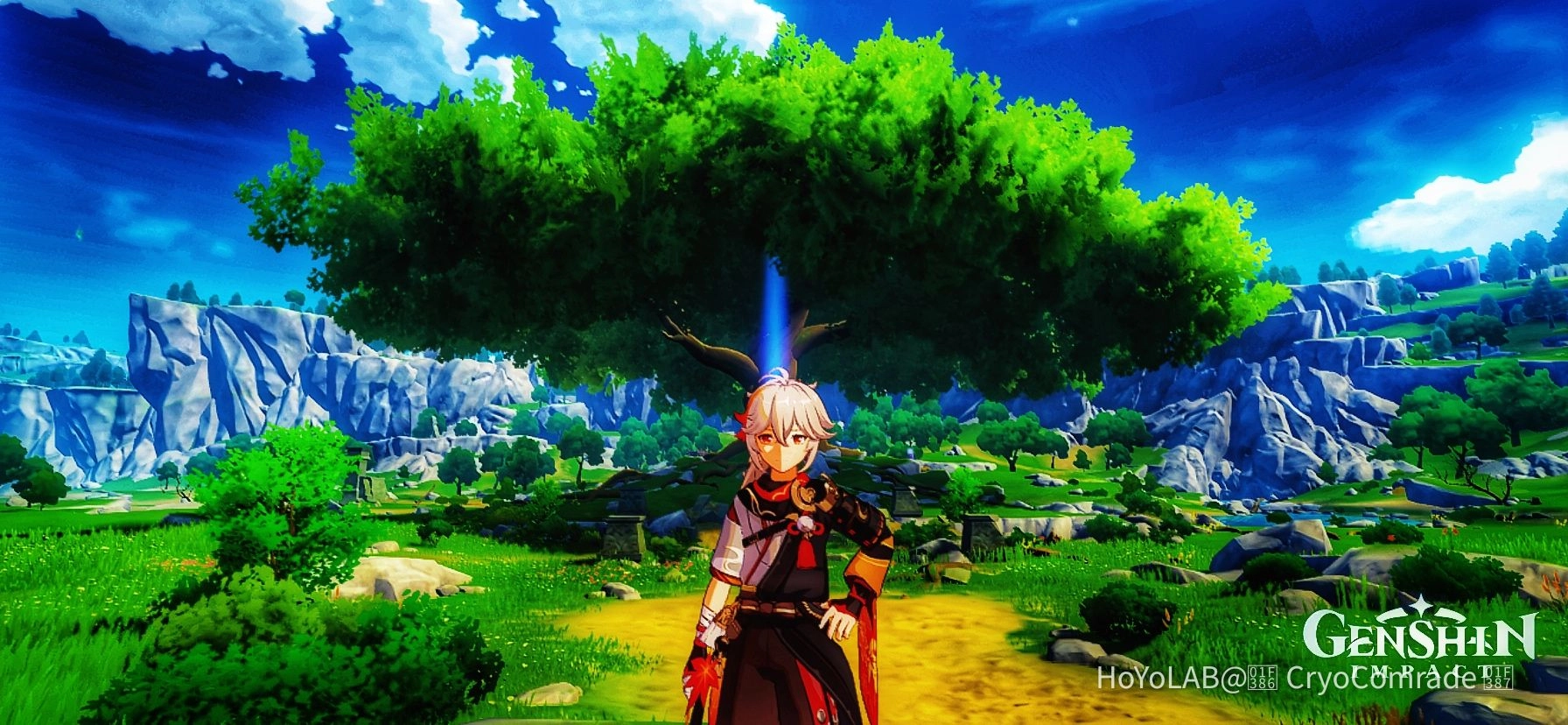 Windrise Tree at Different Times Genshin Impact | HoYoLAB