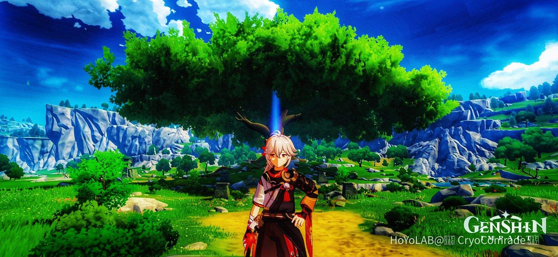 Windrise Tree at Different Times Genshin Impact | HoYoLAB