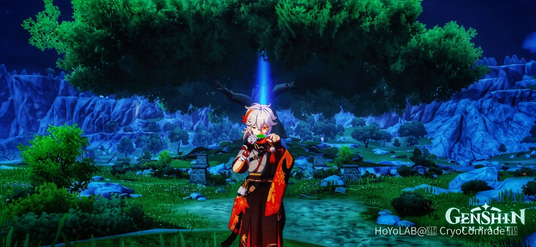 Windrise Tree at Different Times Genshin Impact | HoYoLAB