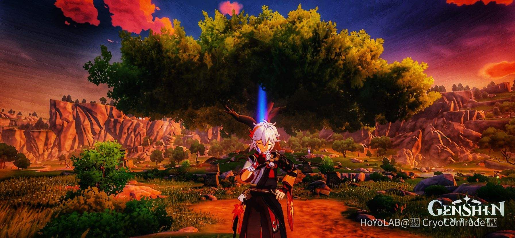 Windrise Tree at Different Times Genshin Impact | HoYoLAB