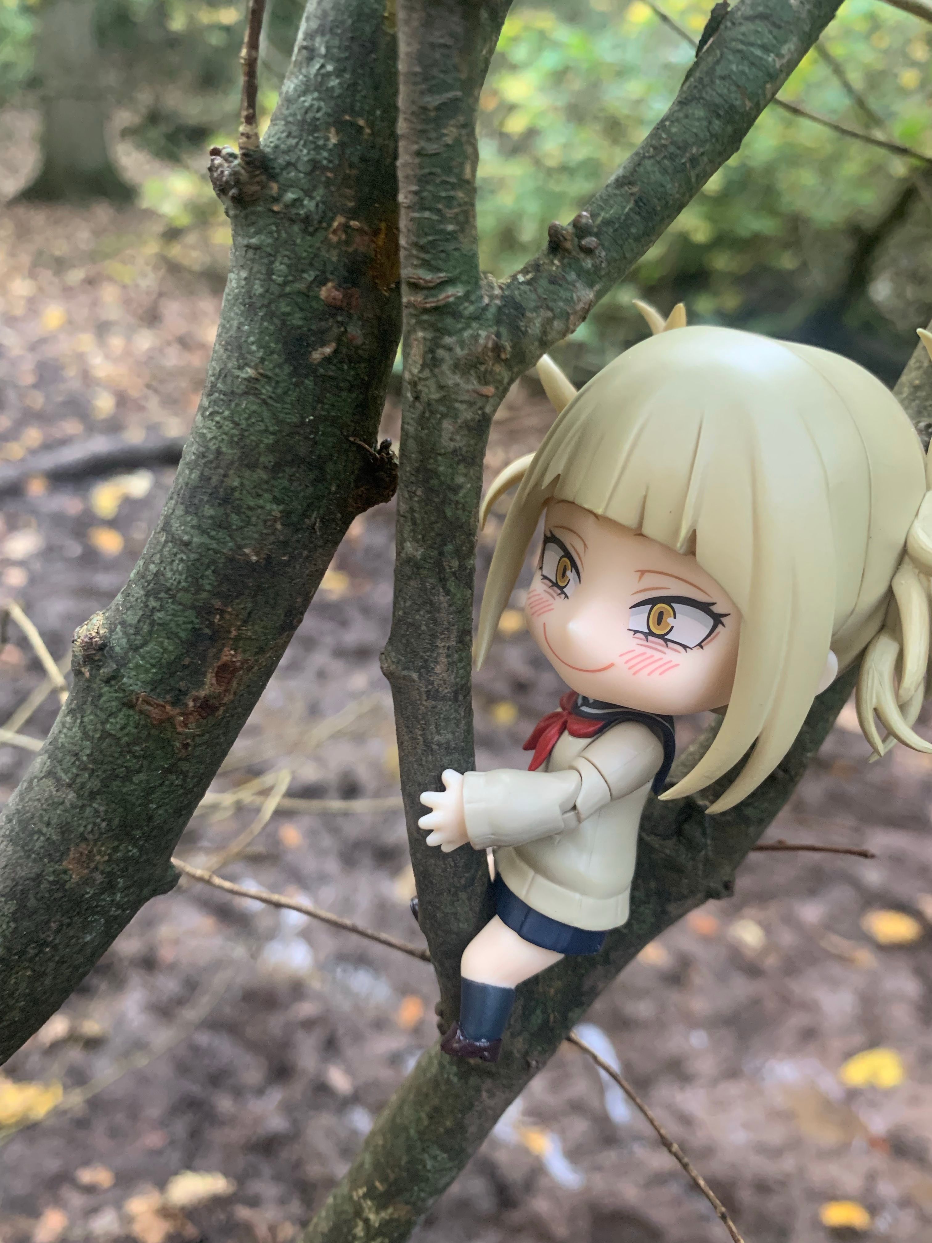 Some picks of Toga before I BROKE HER ;-; | HoYoLAB