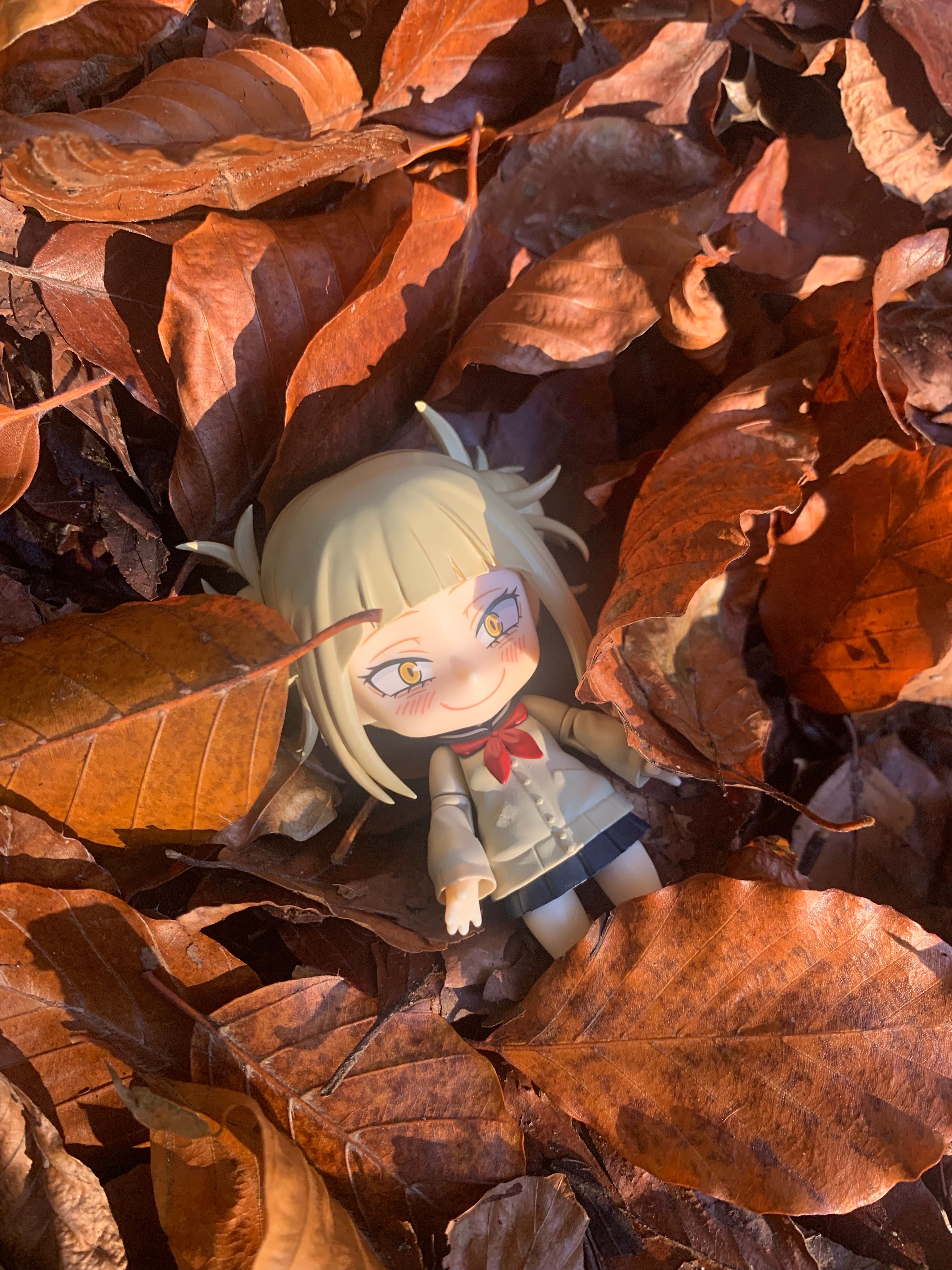 Some picks of Toga before I BROKE HER ;-; | HoYoLAB