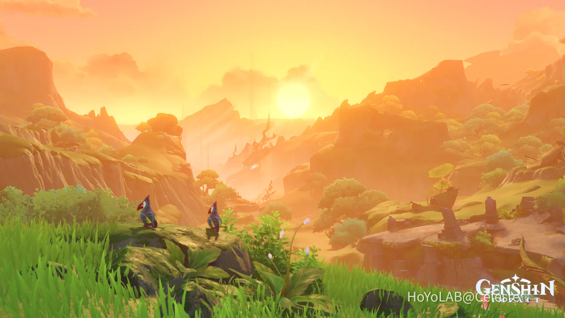 Dusk birds Genshin Impact | HoYoLAB