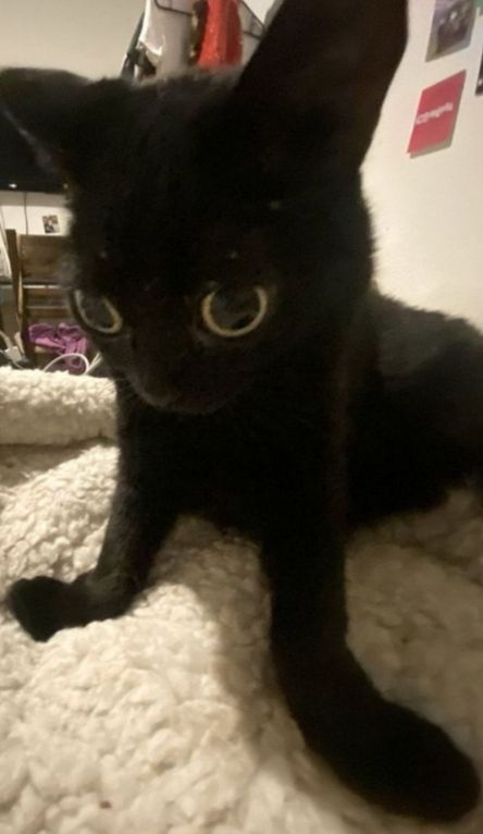 can you feel ... Honkai Impact 3rd | HoYoLAB