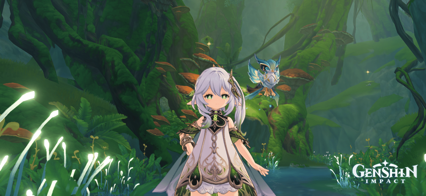 the Buer Genshin Impact | HoYoLAB