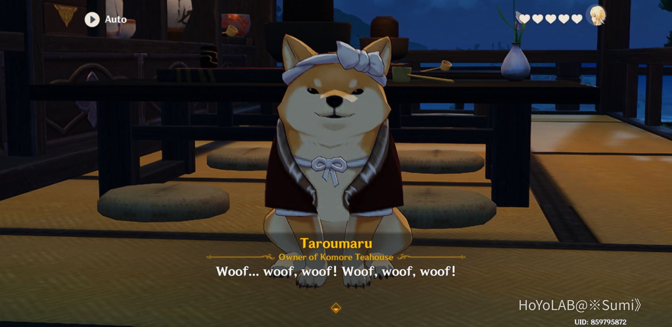 Fluffy doge Genshin Impact | HoYoLAB