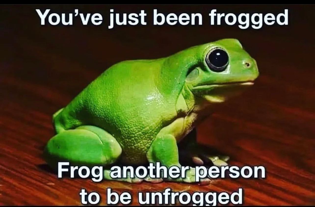 Totally not a frog | HoYoLAB