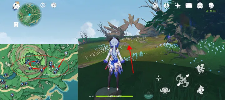 Character Breakthrough Materials: Fluorescent Fungus Collection ...