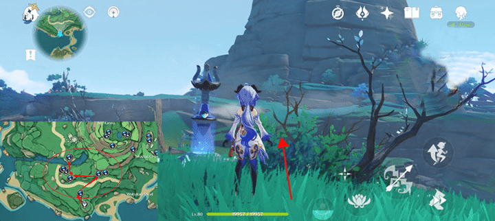 Character Breakthrough Materials: Fluorescent Fungus Collection ...