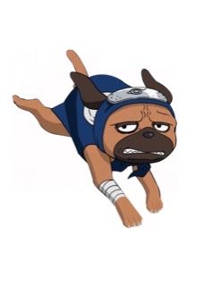 Take Part in the Ninja Dog Poll! Genshin Impact | HoYoLAB