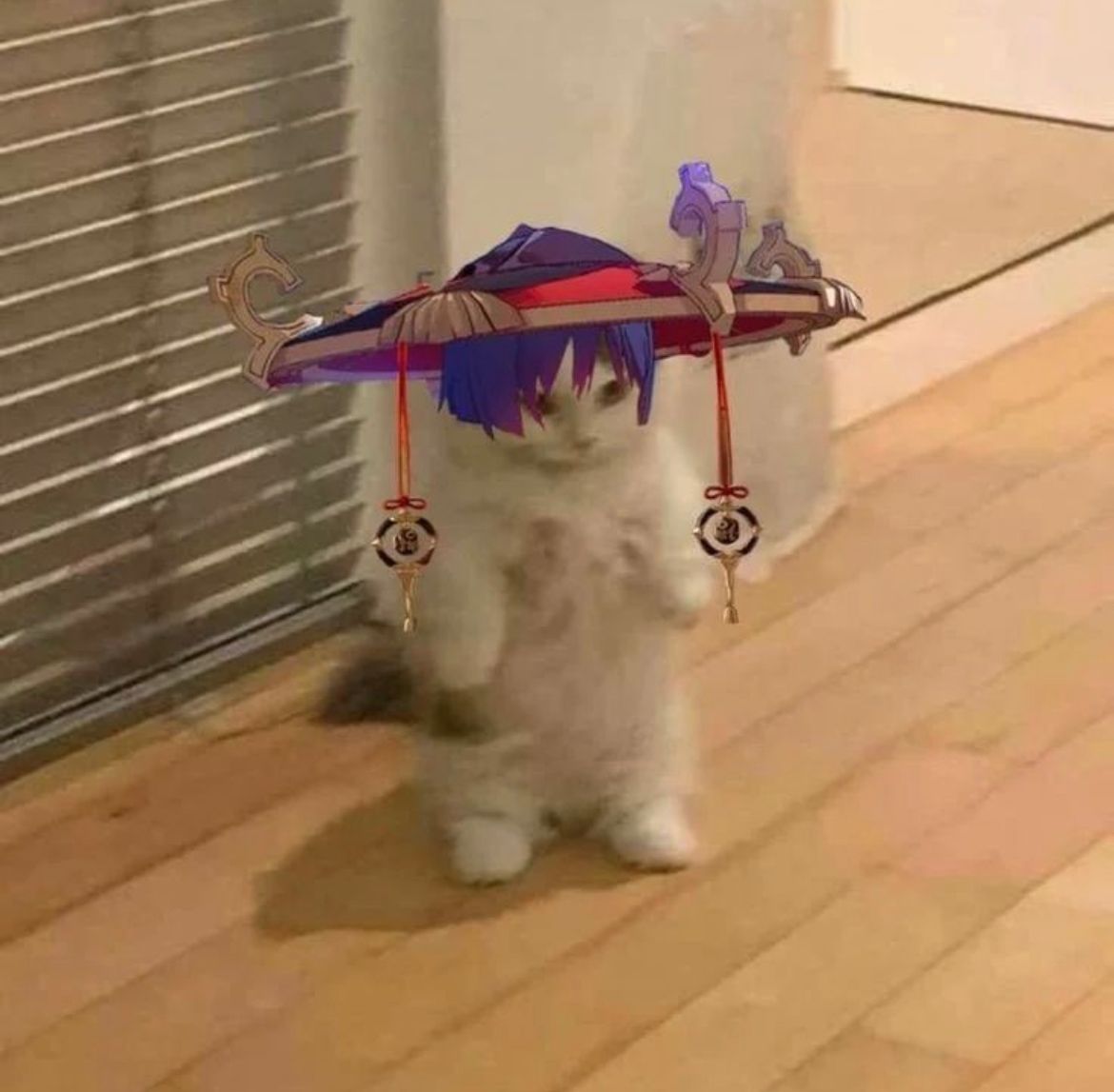 Scaracat Genshin Impact | HoYoLAB