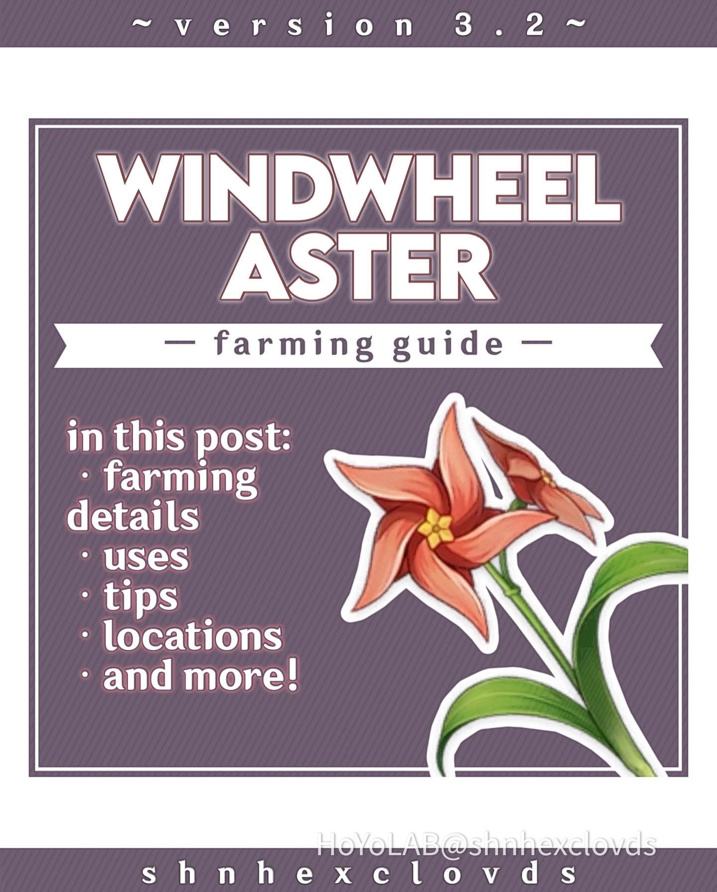 Windwheel aster farming guide [3.2] Genshin Impact | HoYoLAB