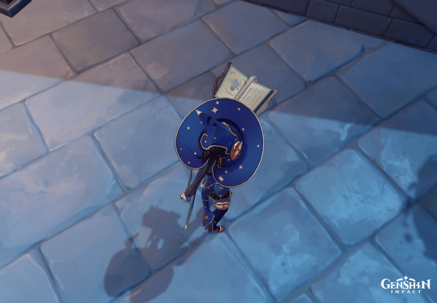 Why does the widsith have pic of 🍇 Genshin Impact | HoYoLAB