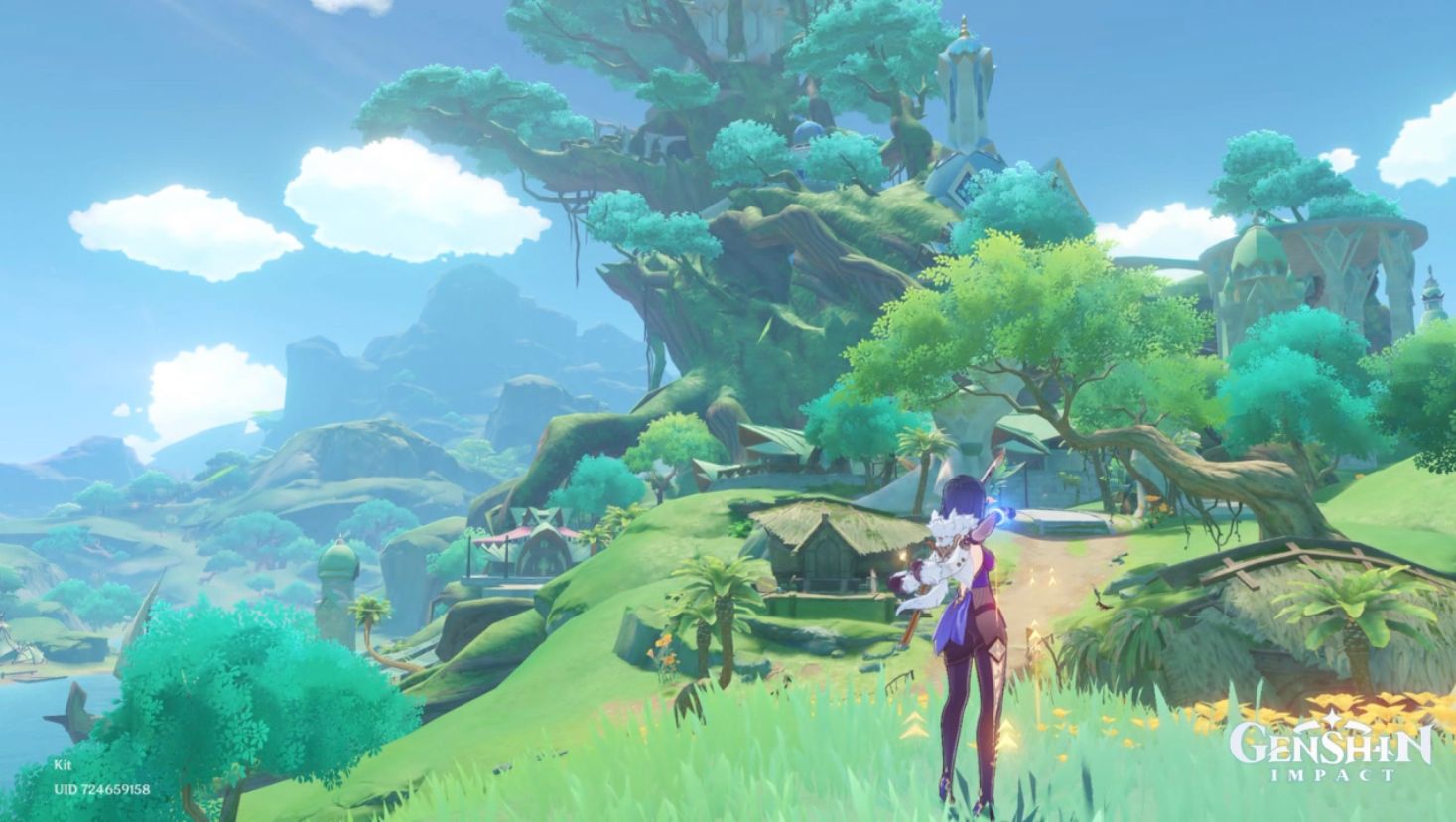 Outside the canvas, inside the lens v3.2 Genshin Impact | HoYoLAB