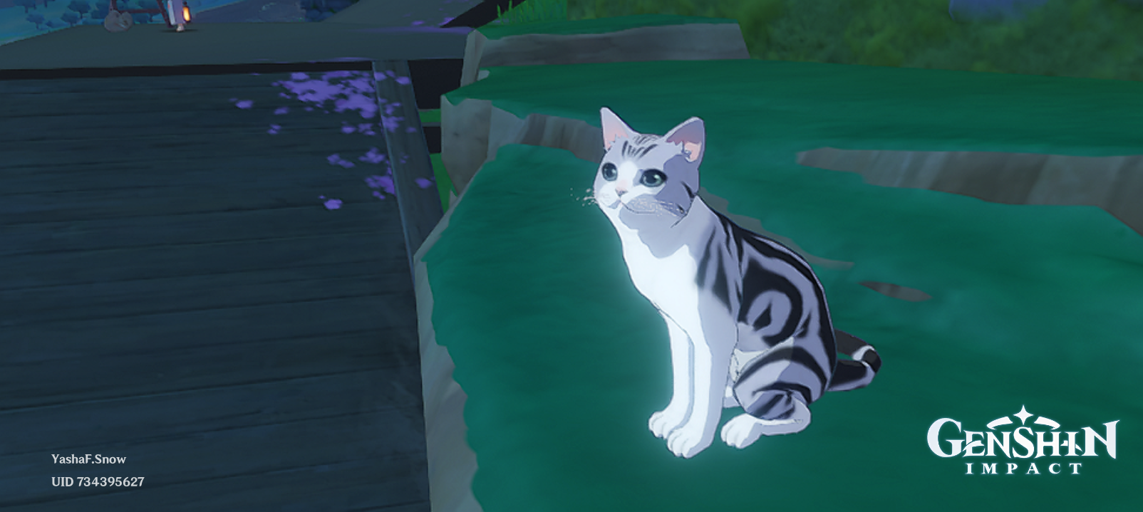 ~ Cat ~ Genshin Impact | HoYoLAB