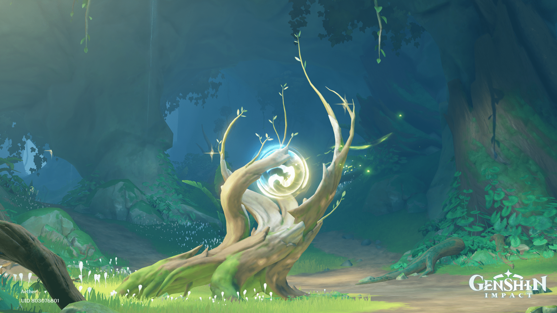 The Music of Sumeru Forest🌲 Genshin Impact | HoYoLAB