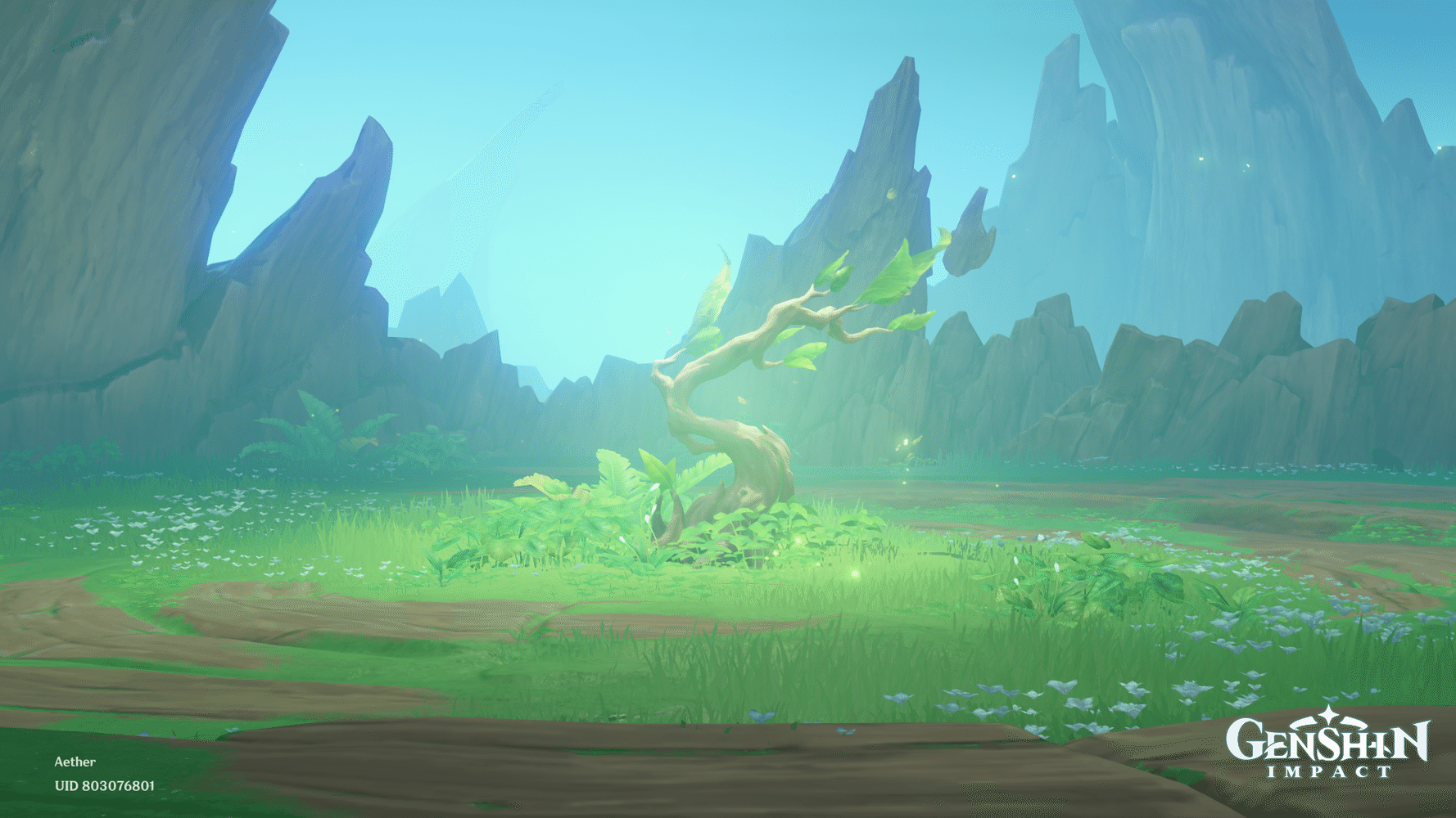 The Music of Sumeru Forest🌲 Genshin Impact | HoYoLAB