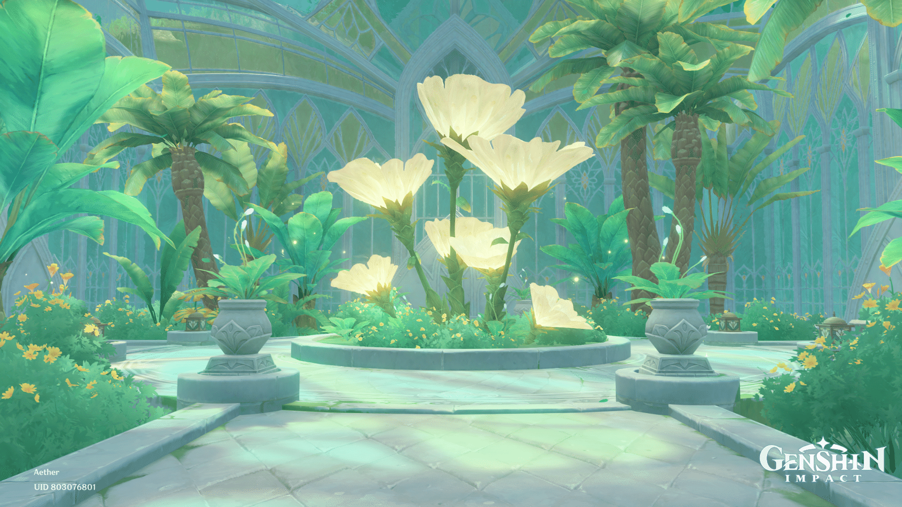 The Music of Sumeru Forest🌲 Genshin Impact | HoYoLAB