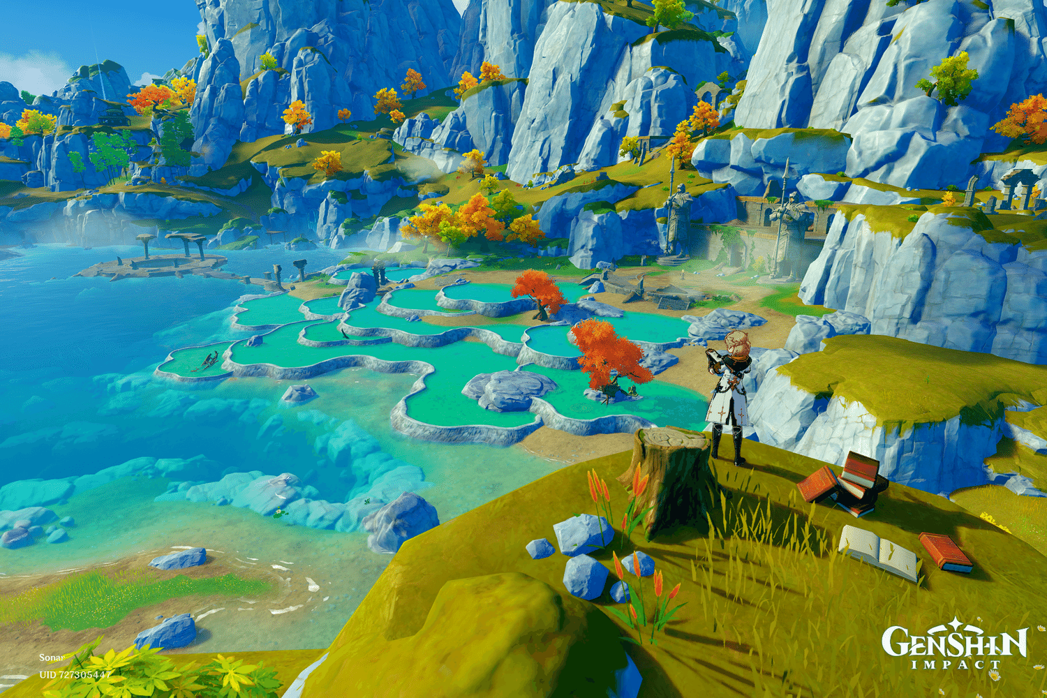 I was a photographer again Genshin Impact | HoYoLAB