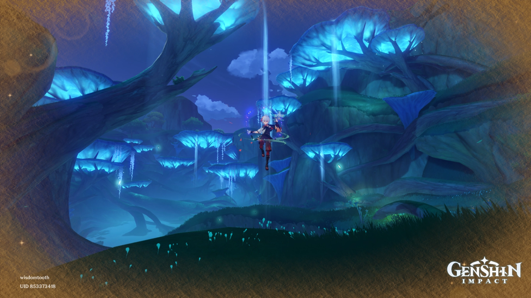 Outside the Lens, Inside the Canvas... or is it vice versa? Genshin ...