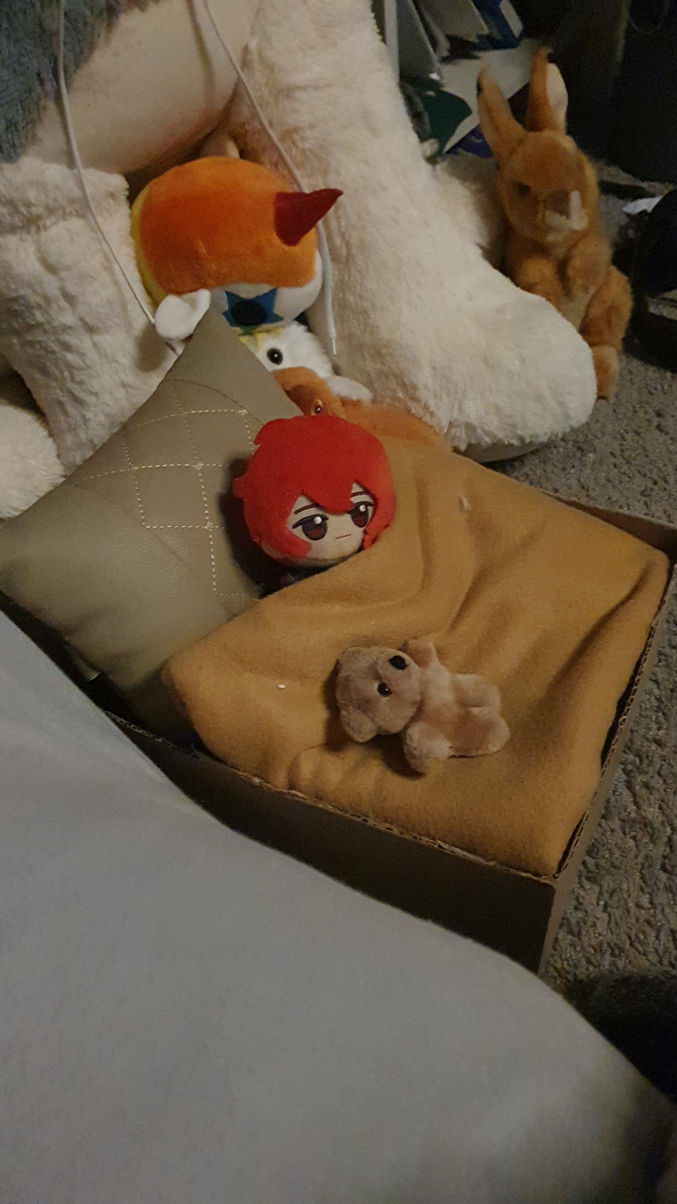 Shmol diluc is tired wish him goodnight! Genshin Impact | HoYoLAB