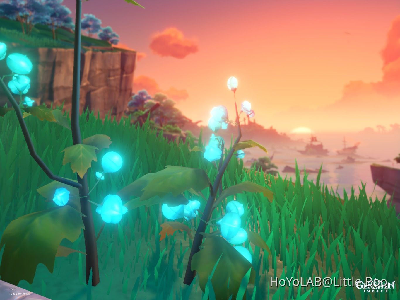 Inazuma Sunset Genshin Impact | HoYoLAB