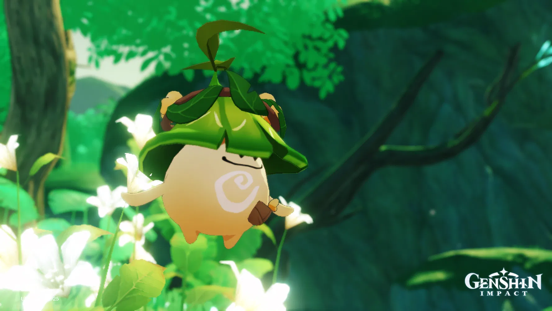 Aranara are cute Genshin Impact | HoYoLAB