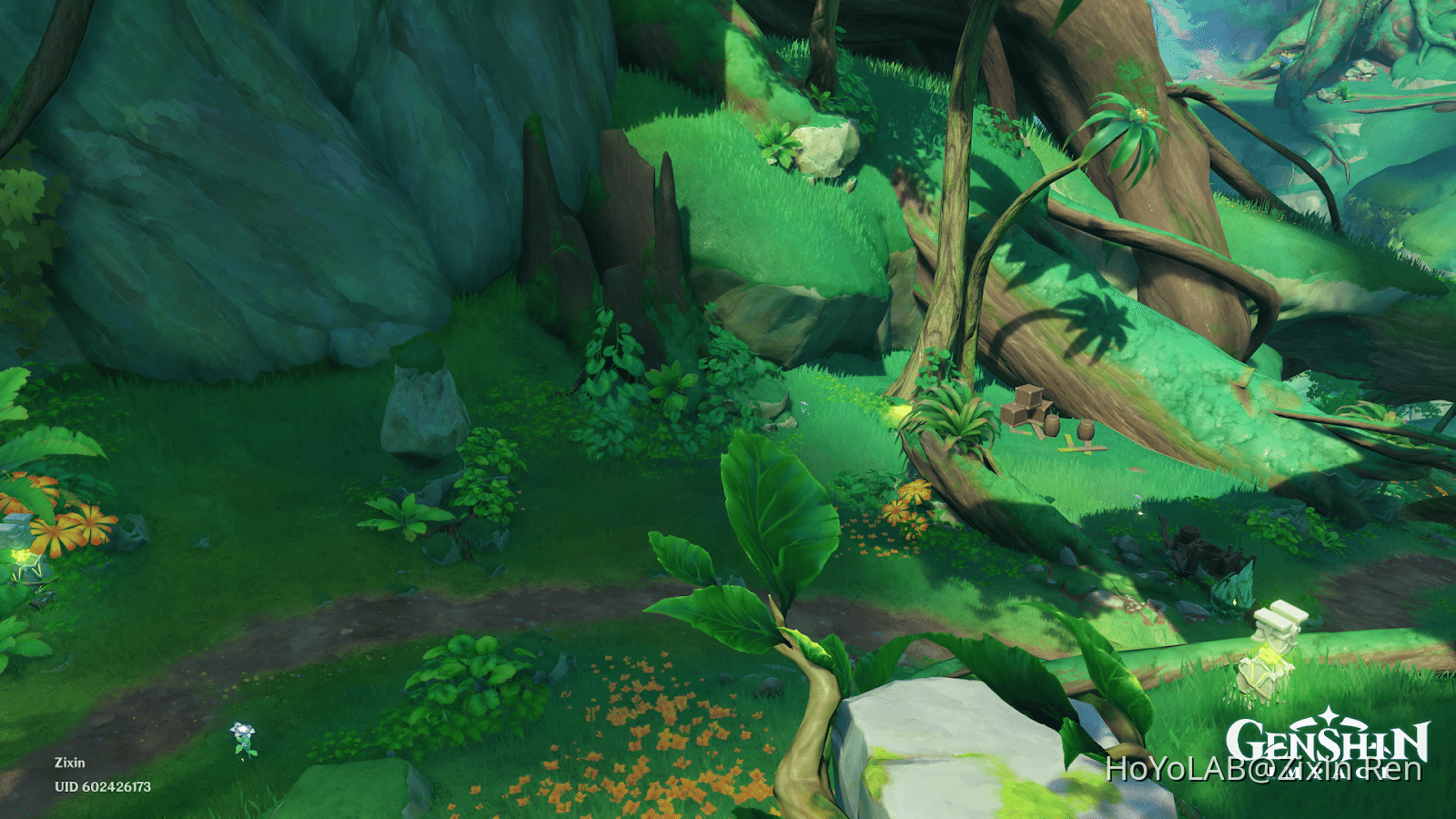 Zixin's Visit to Sumeru Chapter 4 Genshin Impact | HoYoLAB