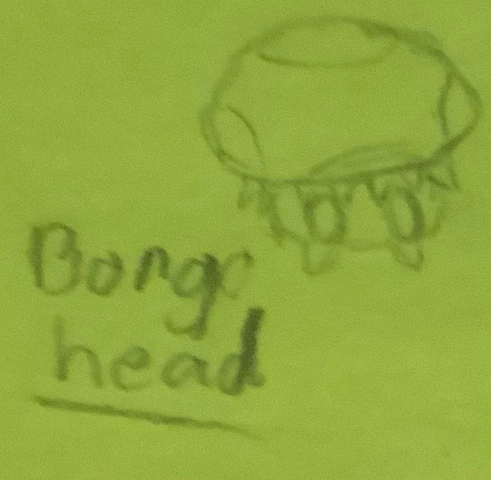 BONGO HEAD PLEASE COME BACK Genshin Impact | HoYoLAB